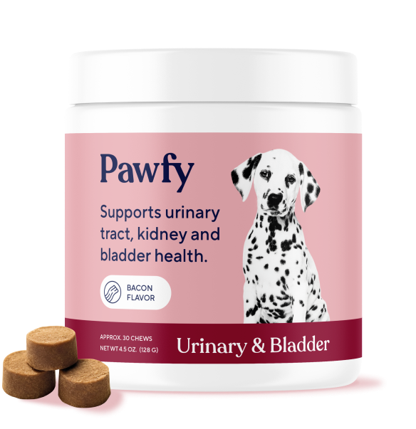 Urinary & Bladder – Pawfy