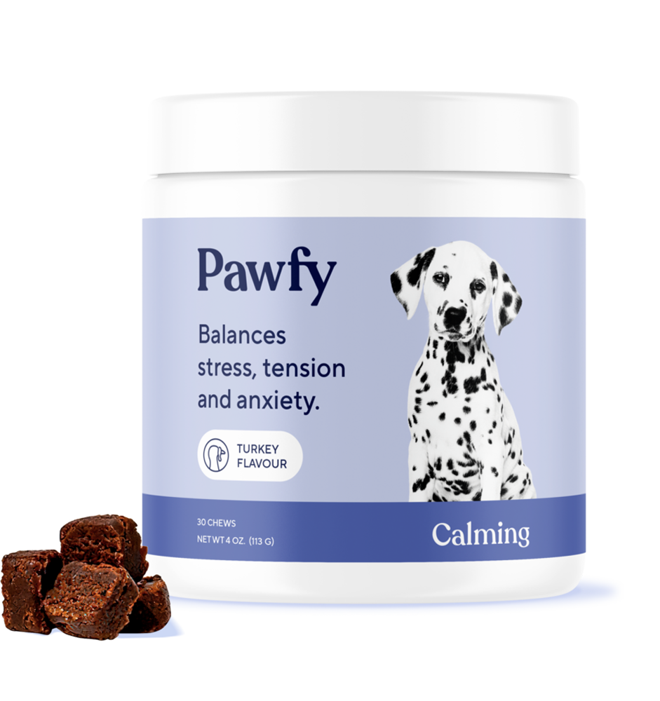 Pawfy - Calming Soft Chews - Buy Now